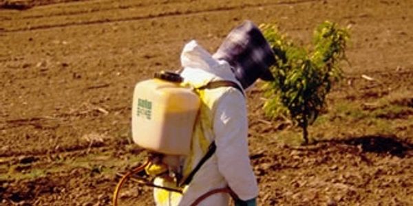Chemical Spraying