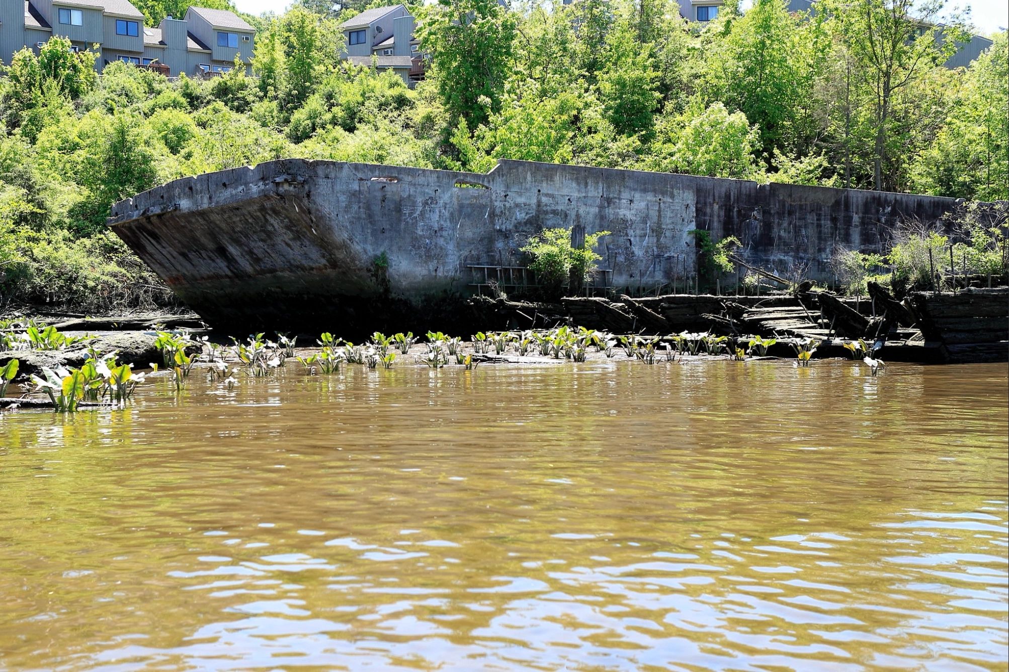 Navy Department World War I Concrete Barges - Rondout Creek