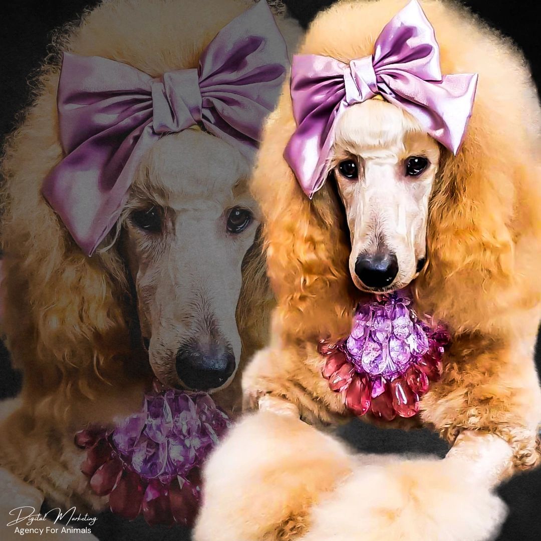 Animal Industry Websites | Digital Marketing Agency For Animals