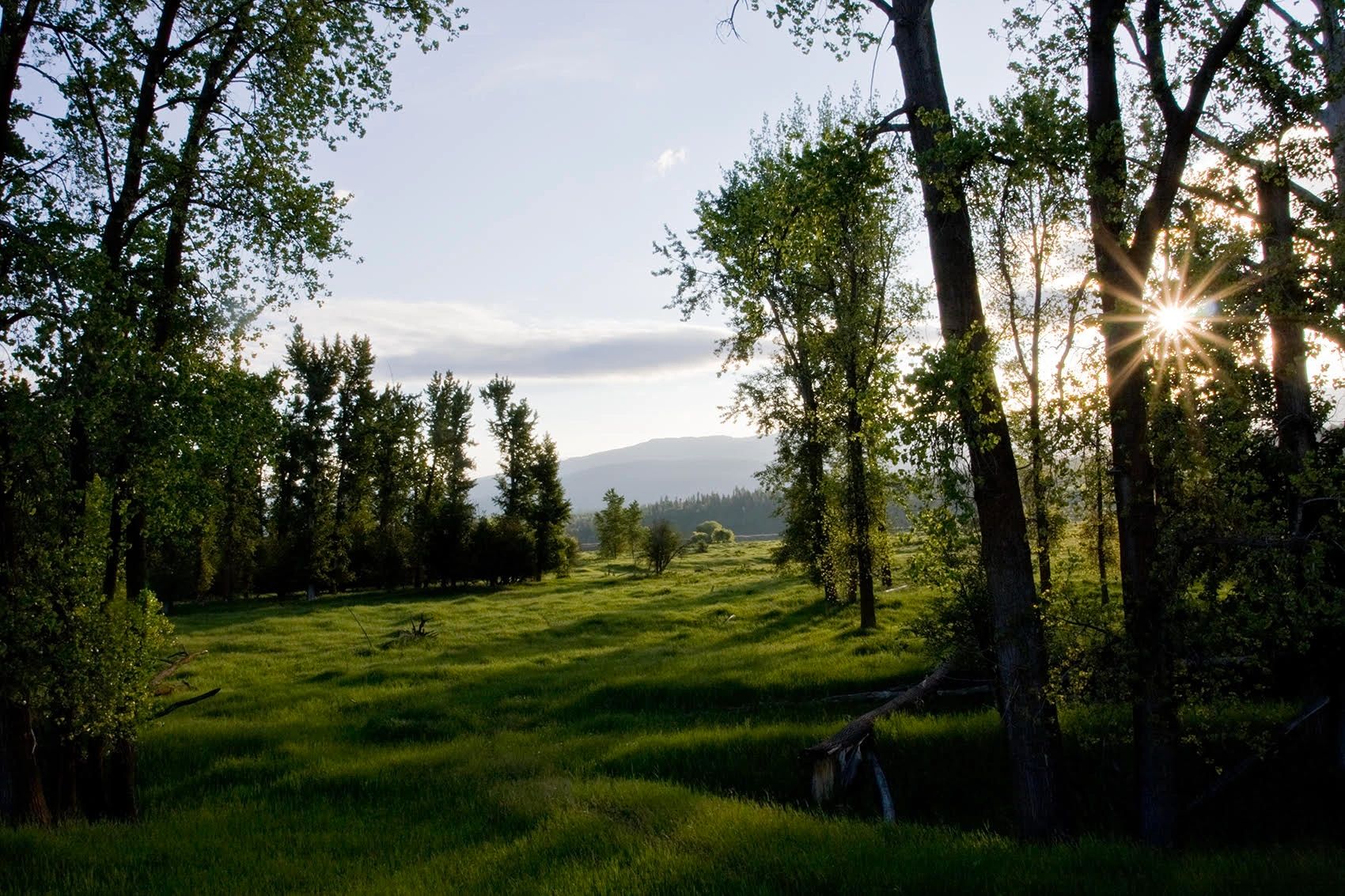 Idaho Summit Insurance