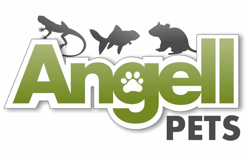 Meet The Team | Angell Pets