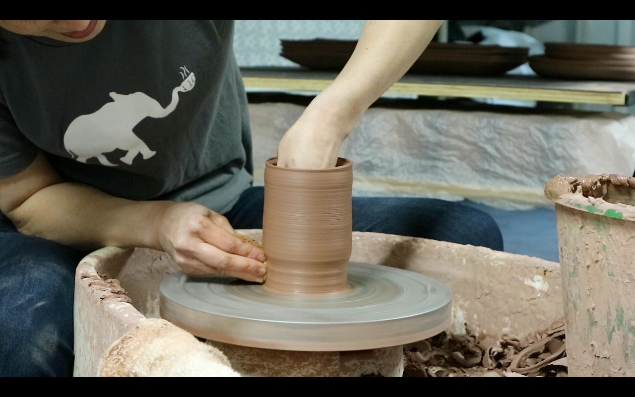 Renting vs. Buying the Videos