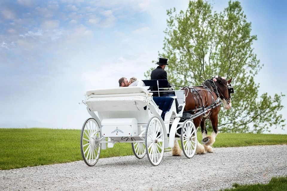 Wildfire Equestrian Kentucky Carriage Rides Horse Carriage