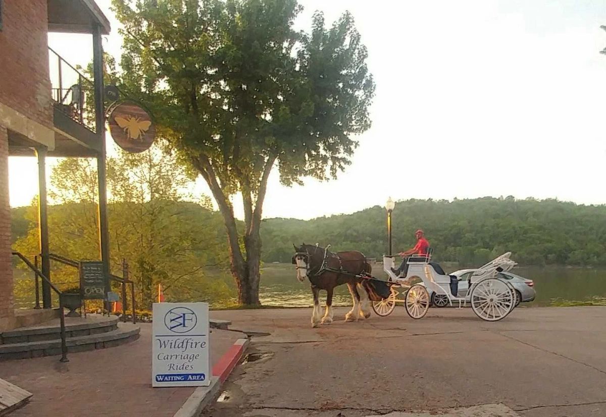 Vis-a-vis Carriage (2 Hrs, 4 people)