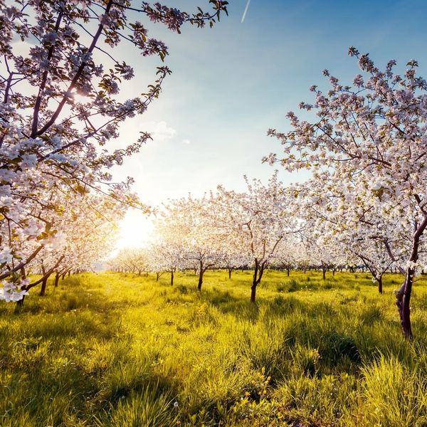 Cognitive Behavioral Therapy in Westchester | Katrina McCoy, PhD