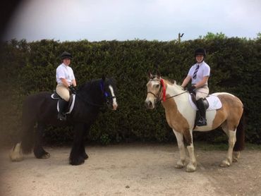 Photo Gallery | Asti Equestrian