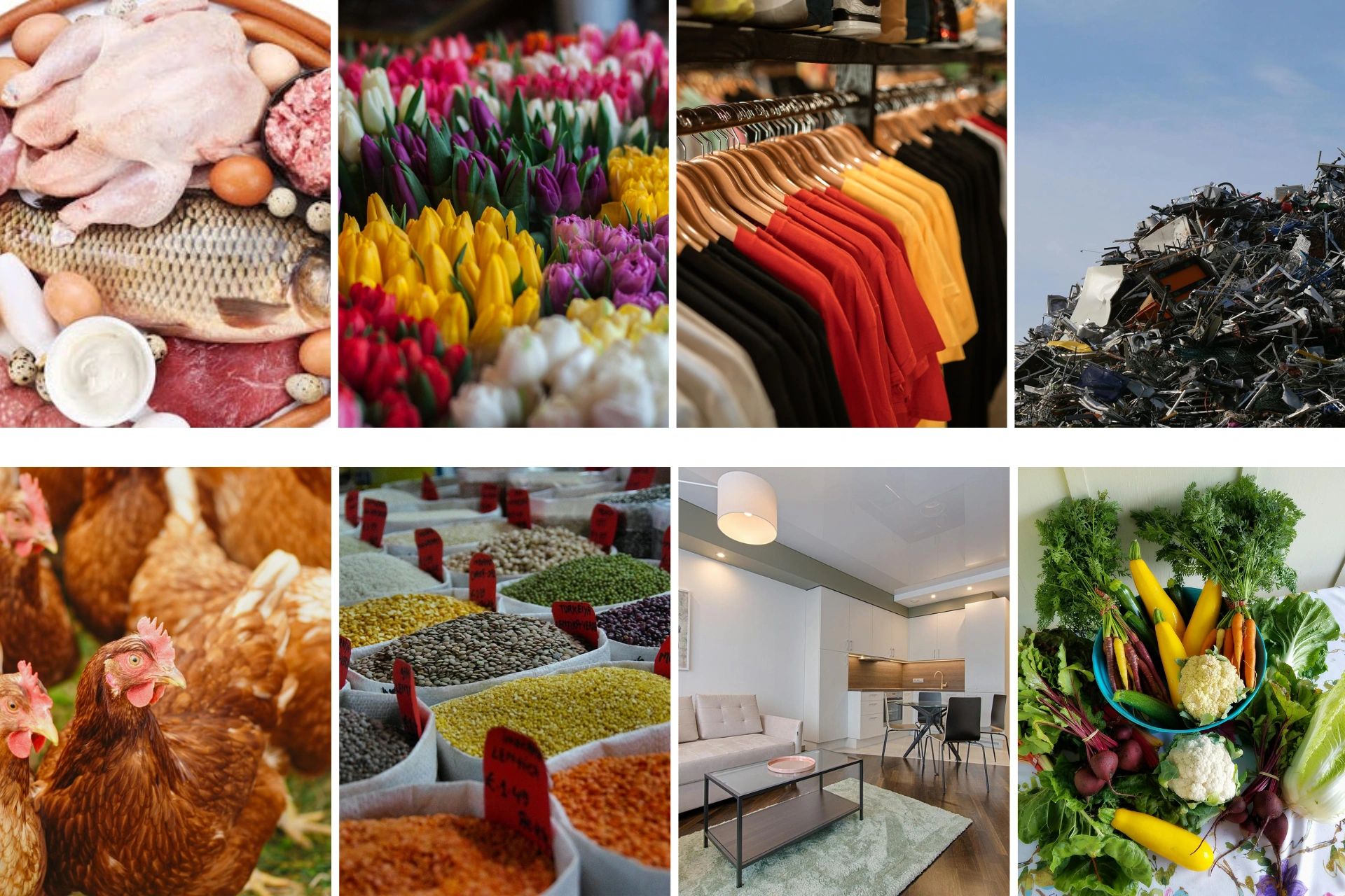 Tradewave International