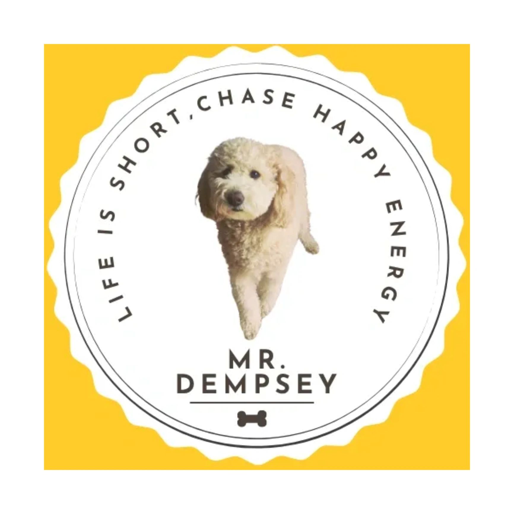 Mr Dempsey the dog