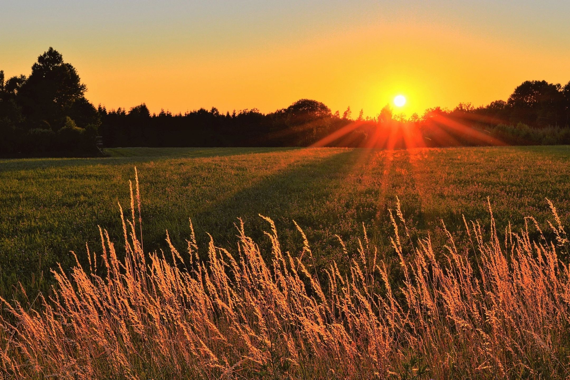 Stephanie Ireland Counseling