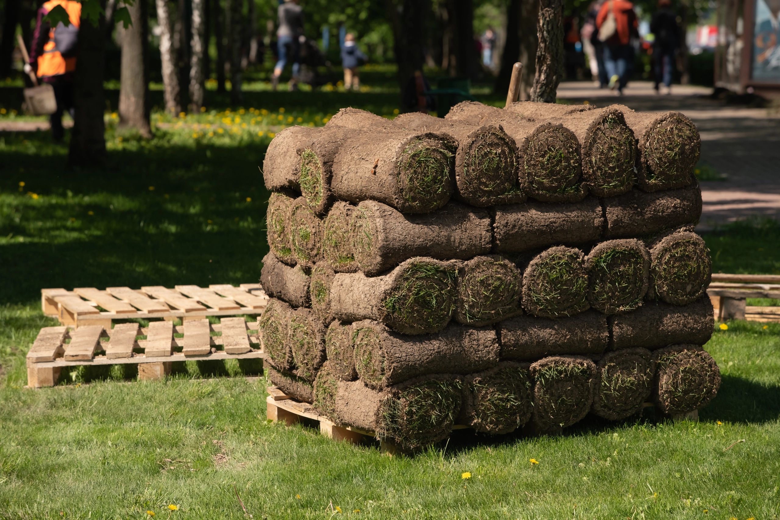 How Much Does a Pallet of Sod Weigh? A Guide from CT Sod