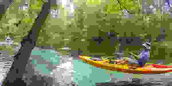 Rum 138 - Kayak Rental, Canoes and Kayaks, Paddle Board Rental