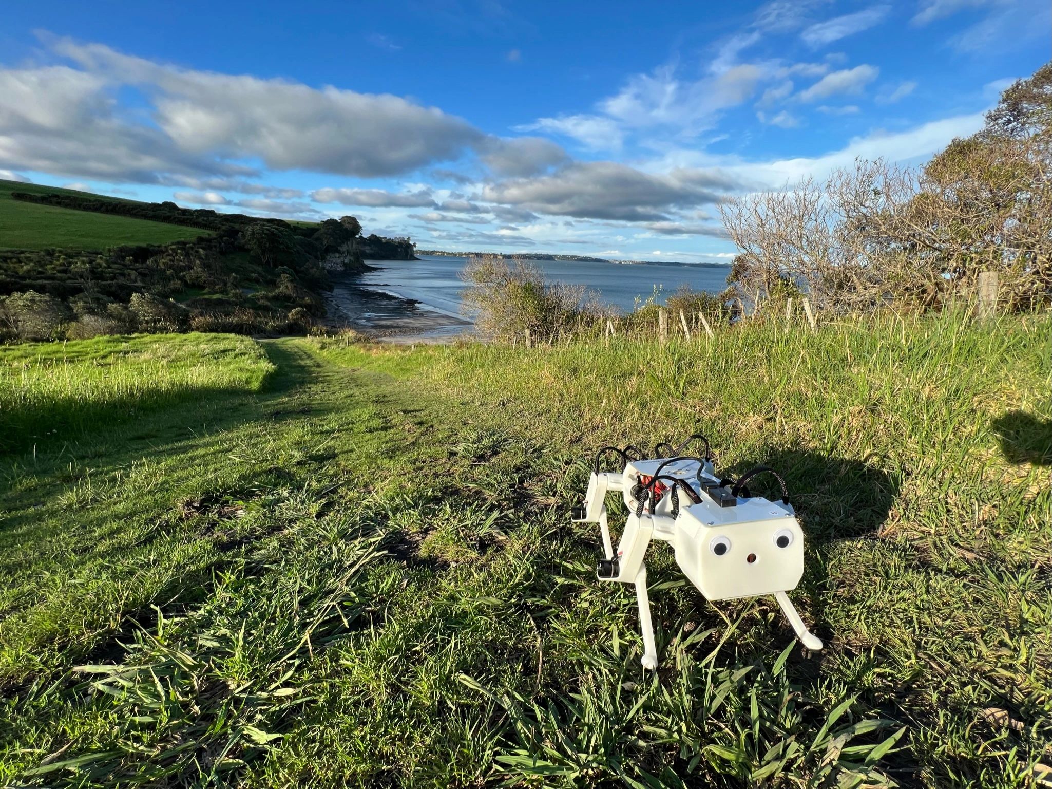 Open Source Curriculum