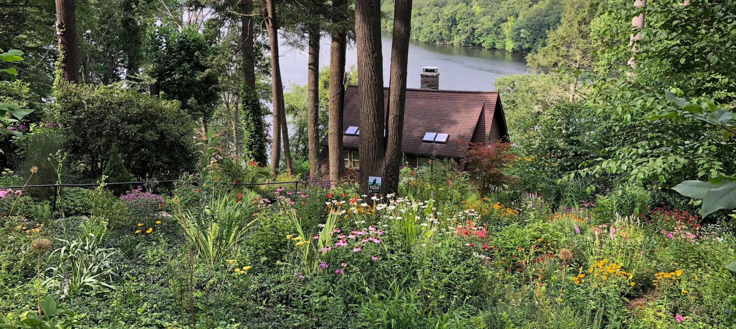 Wildflower Meadows Landscape Design Newtown Monroe Southbury ...