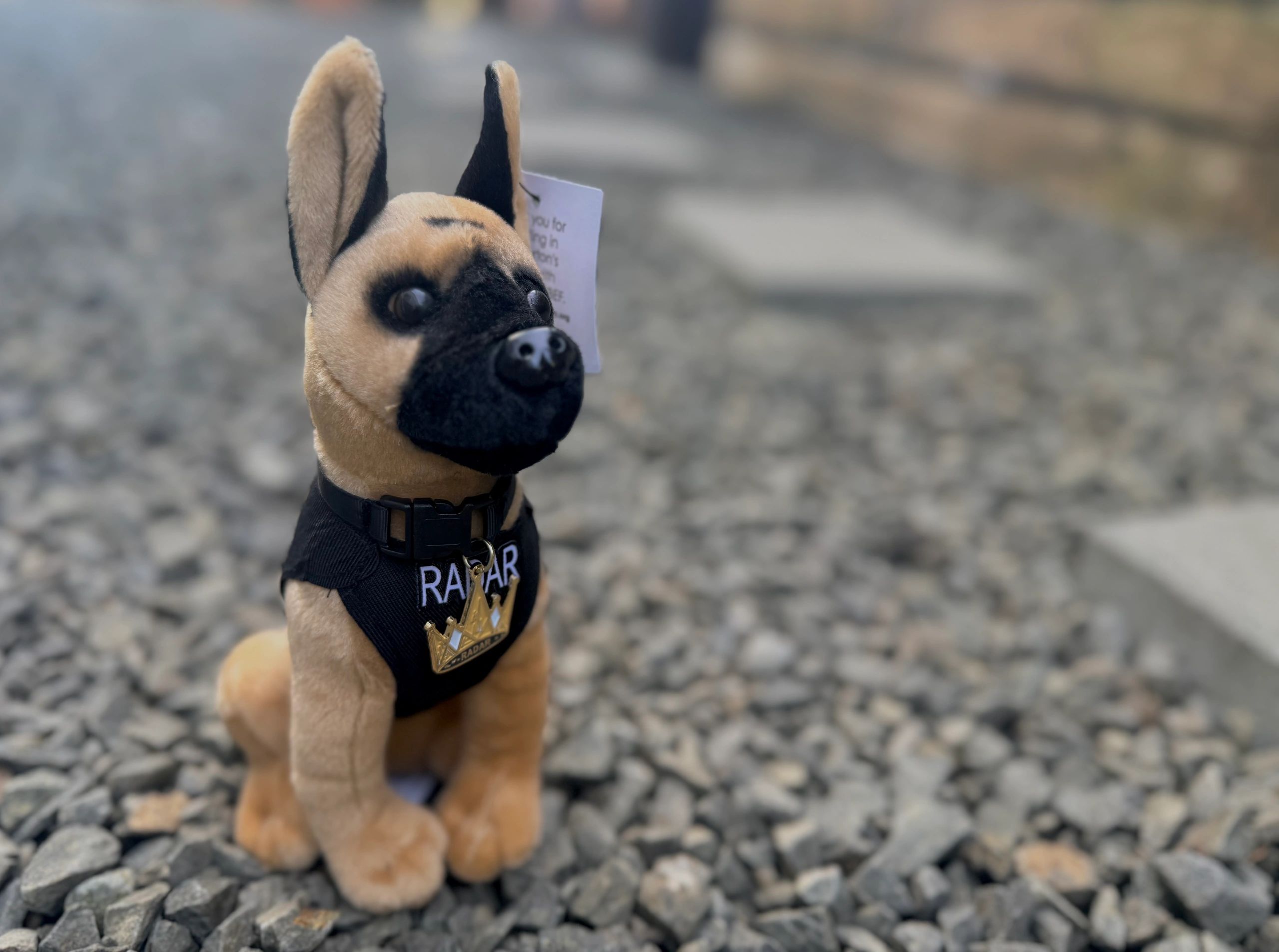 Deputy Dog Industries