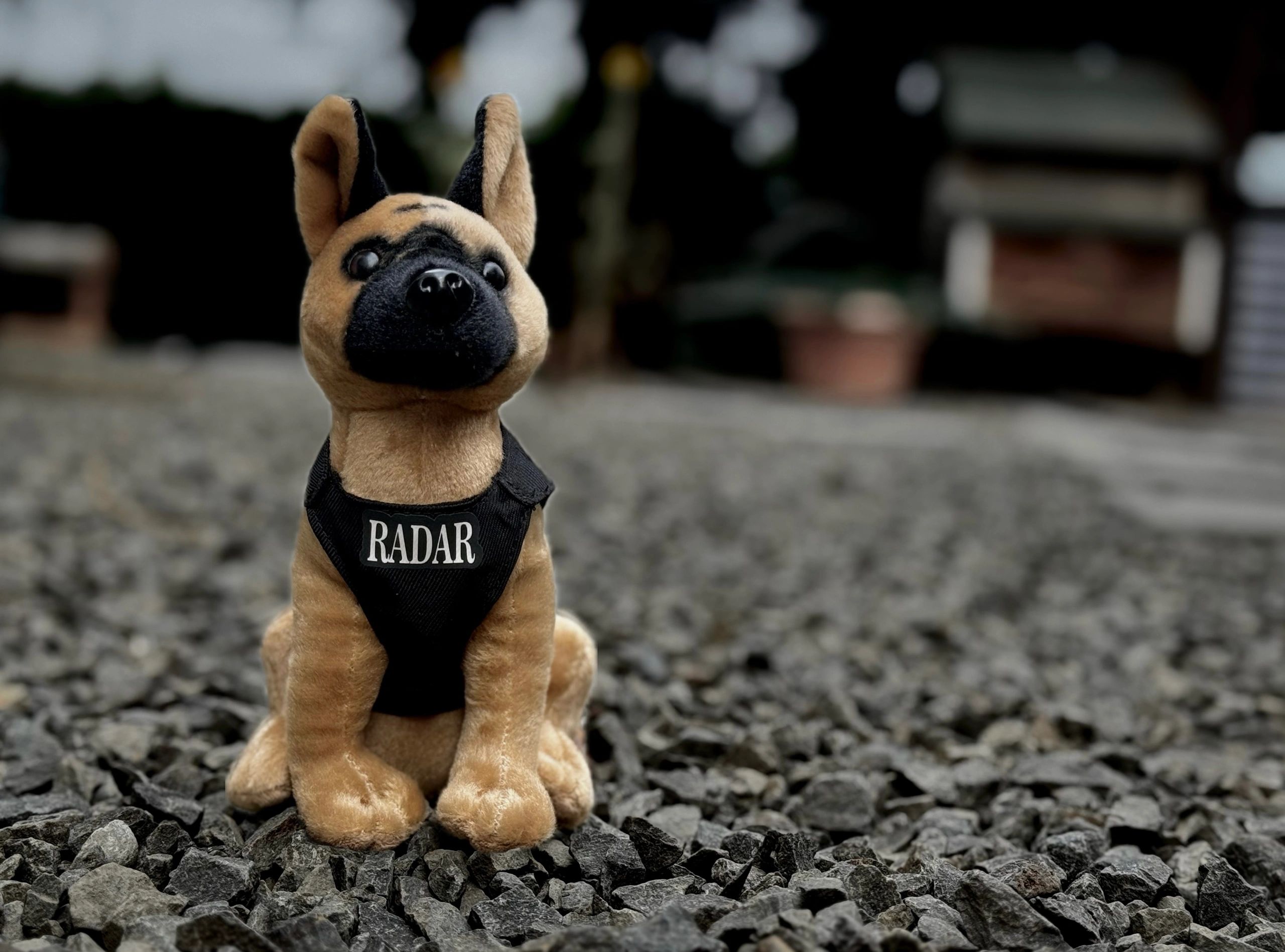 Deputy Dog Industries