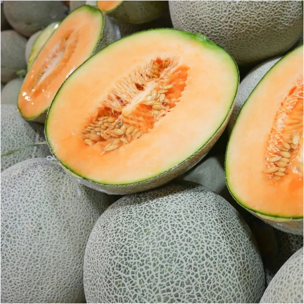Rockmelon 1/2 Piece