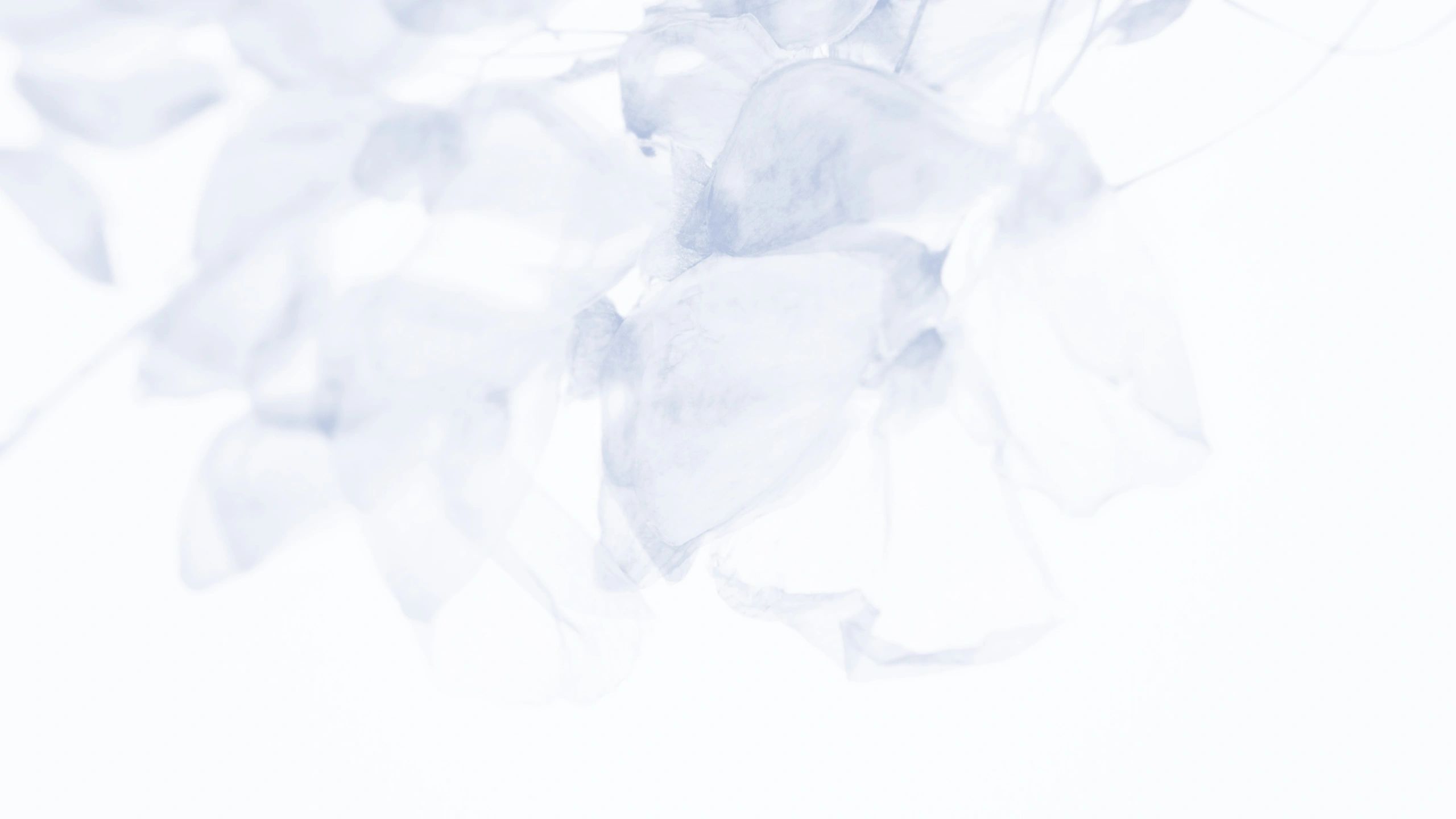 40+ Quick & Easy PCOS Recipes