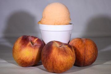 Wholesale | Ricciardi's Italian Ice