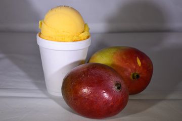 Wholesale | Ricciardi's Italian Ice