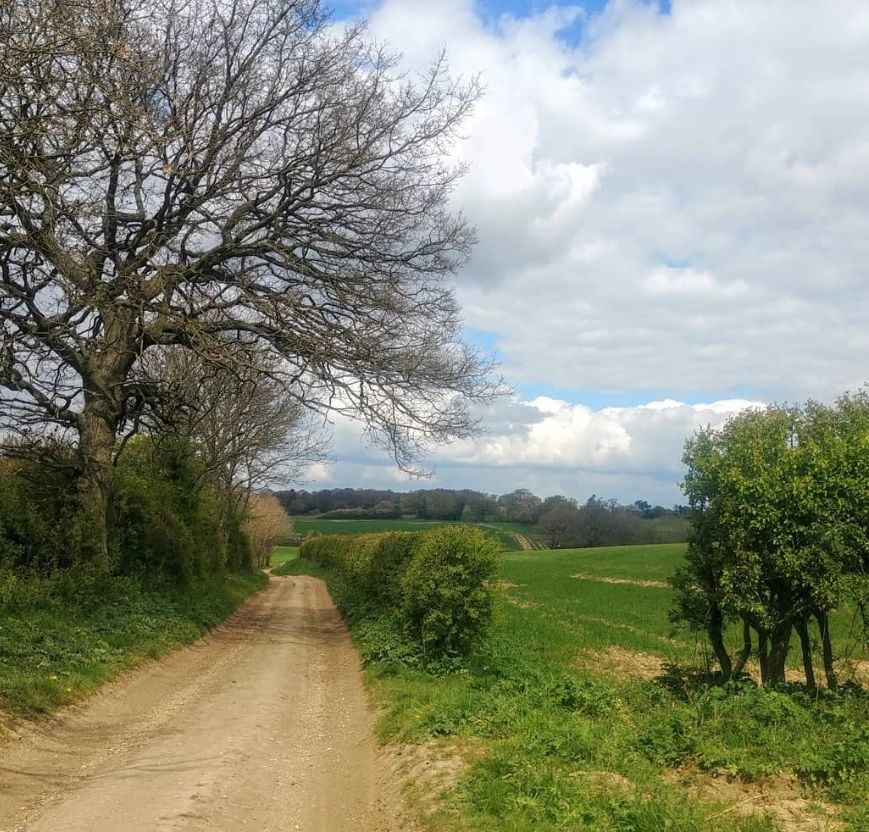 Discover Some Great Local Walks with Women Who Walk