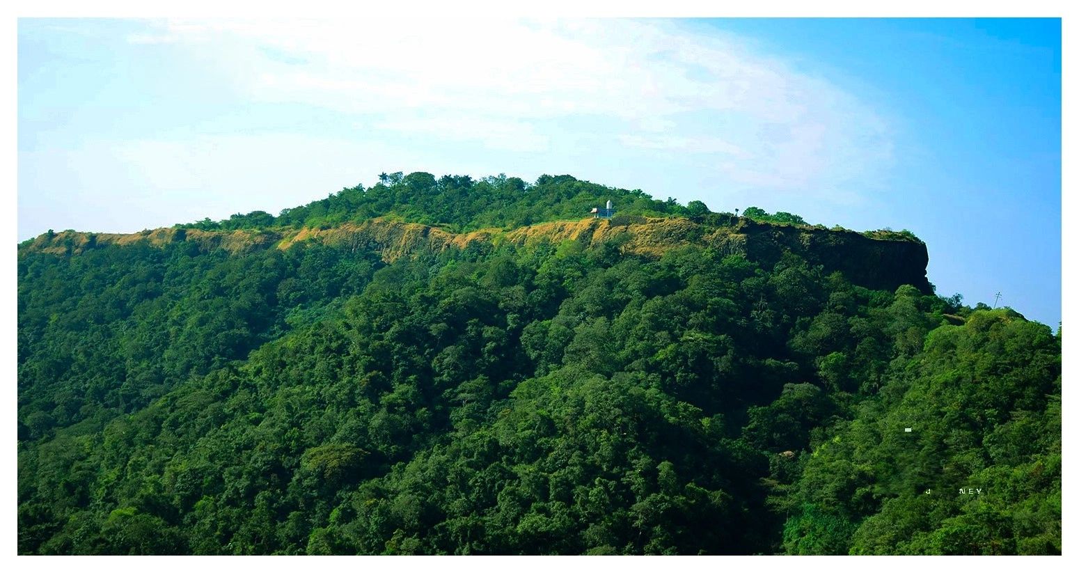 rayabamalusarefoundation