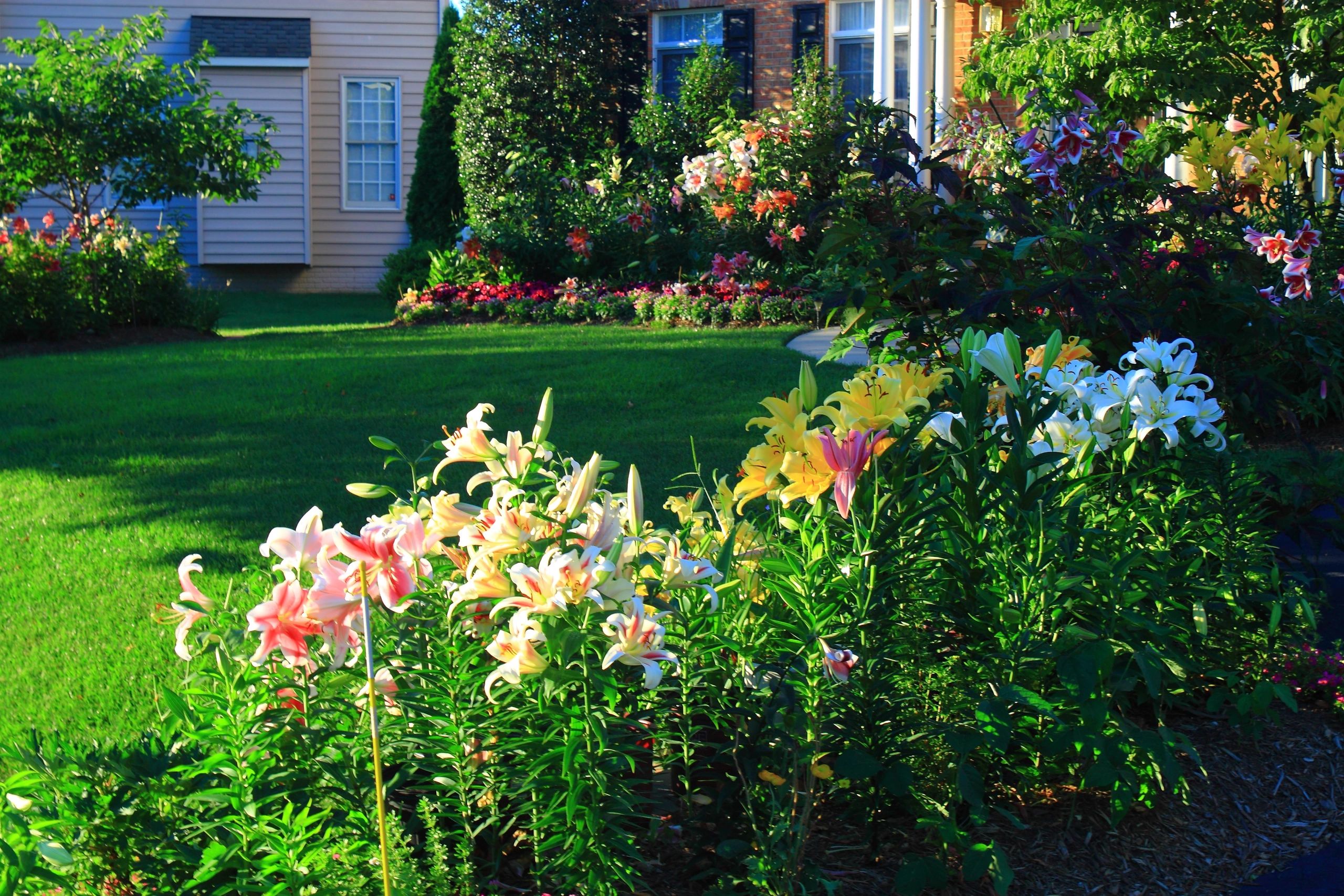 Collegiate Landscaping - Landscaping in Glastonbury, CT