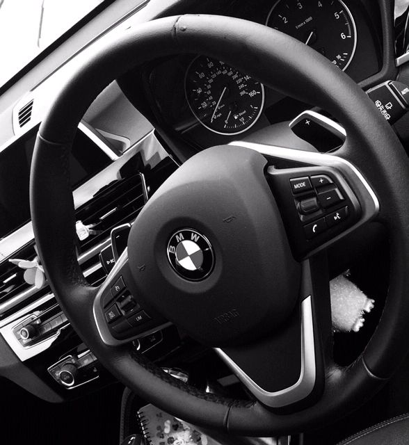 Maxine:s Driving Lessons