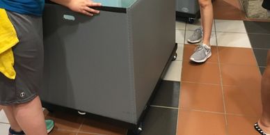 Collapsible Cart - Campus Cruiser Cart