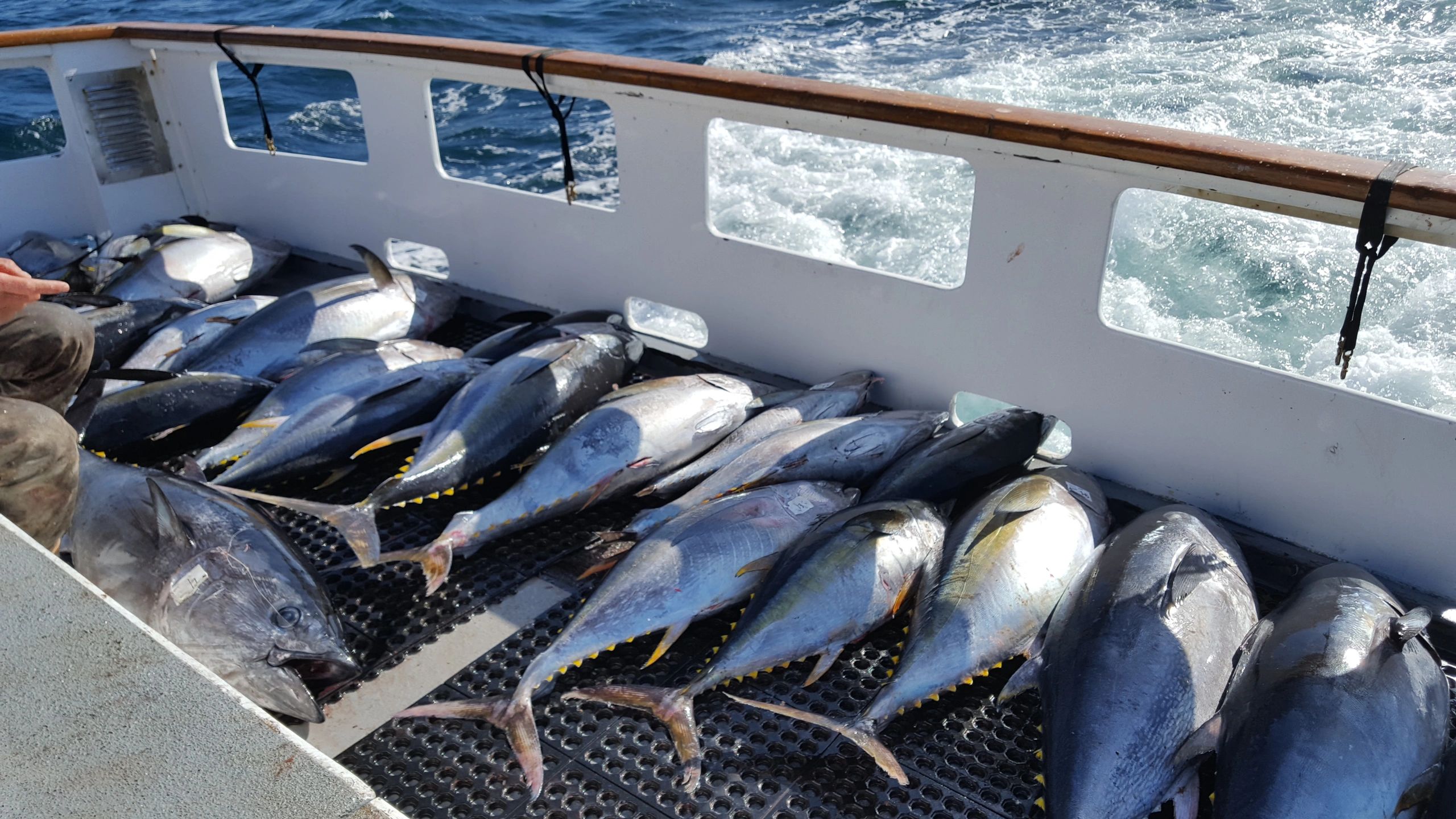 Home [westernangler.net]