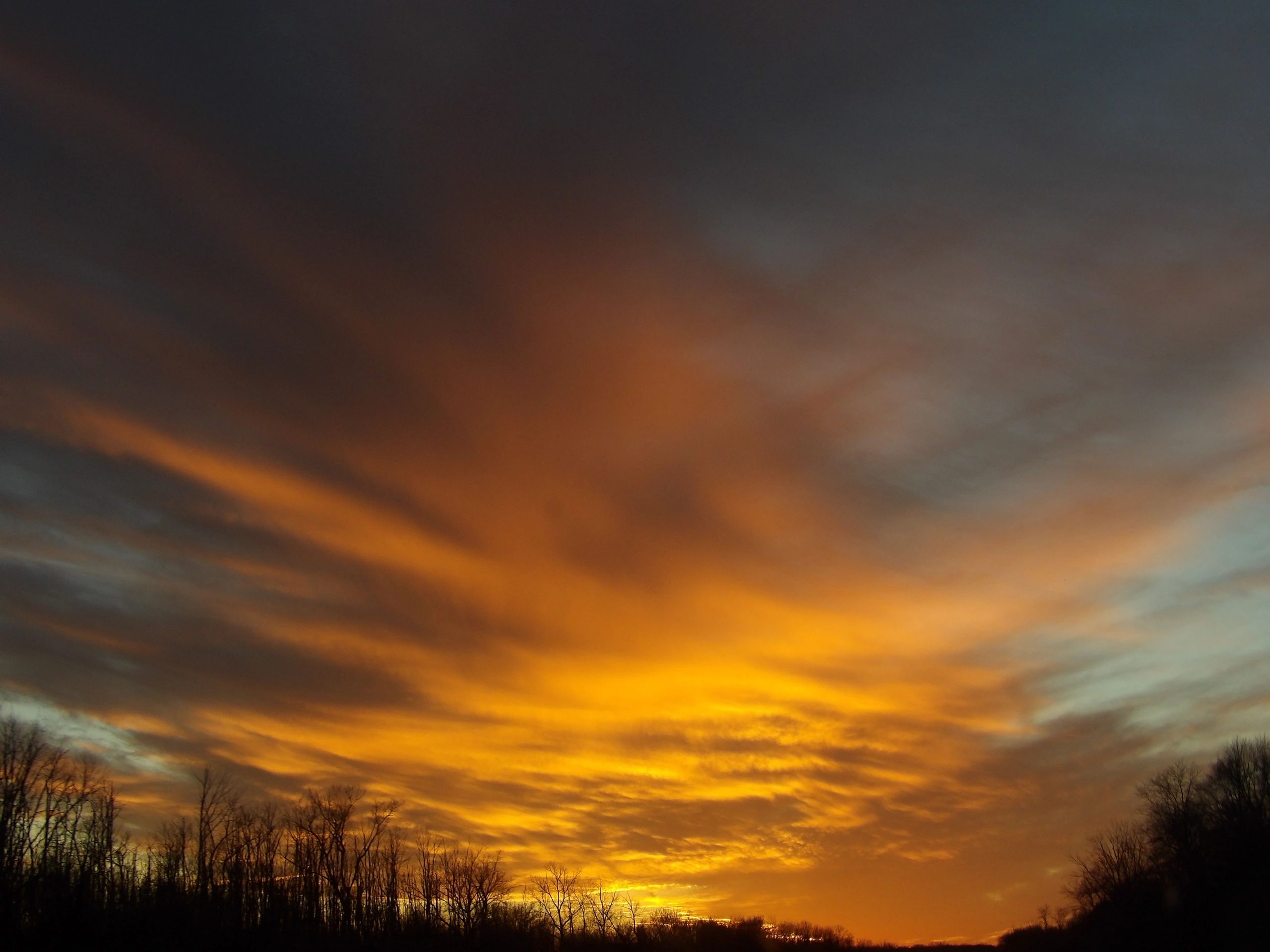 Northern Solar Services