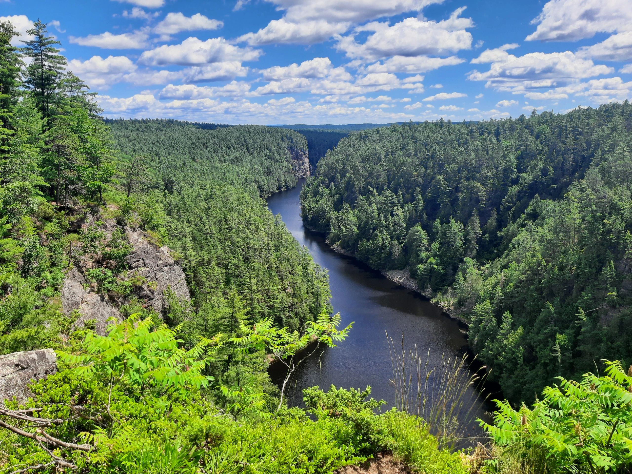 Outdoor Insight Nature-Based Therapy