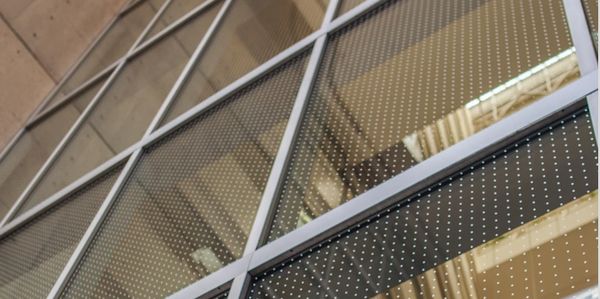 BIRD SAFETY FILMS | Tropic Window Tinting