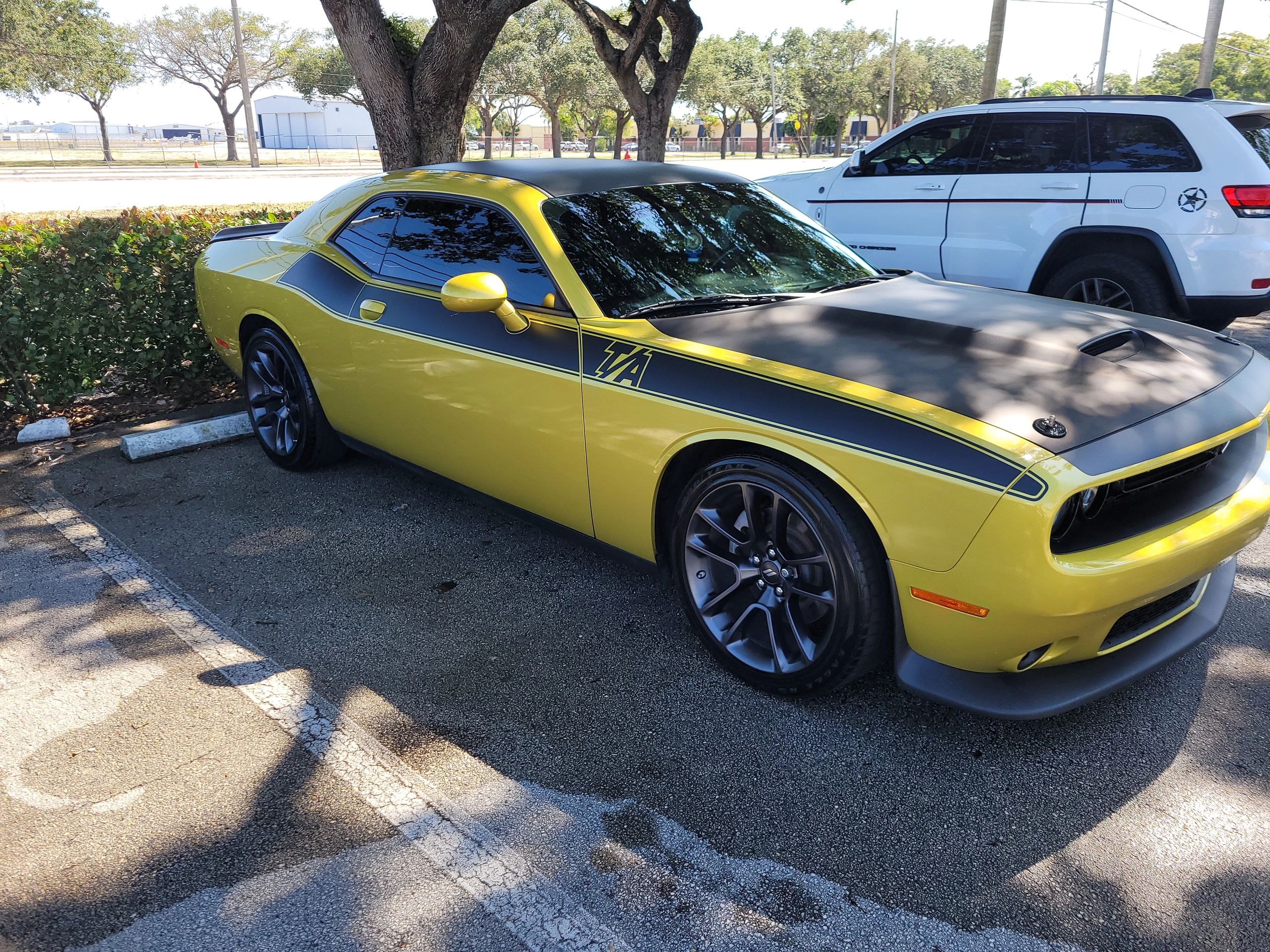 Professional Car Interior Detailing Services