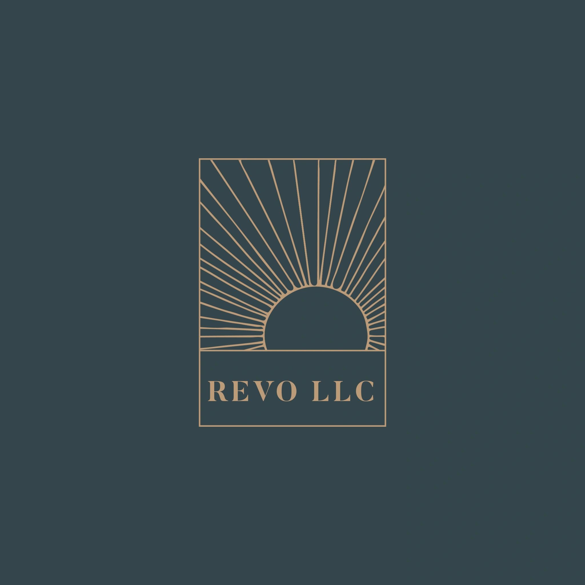 REVO LLC