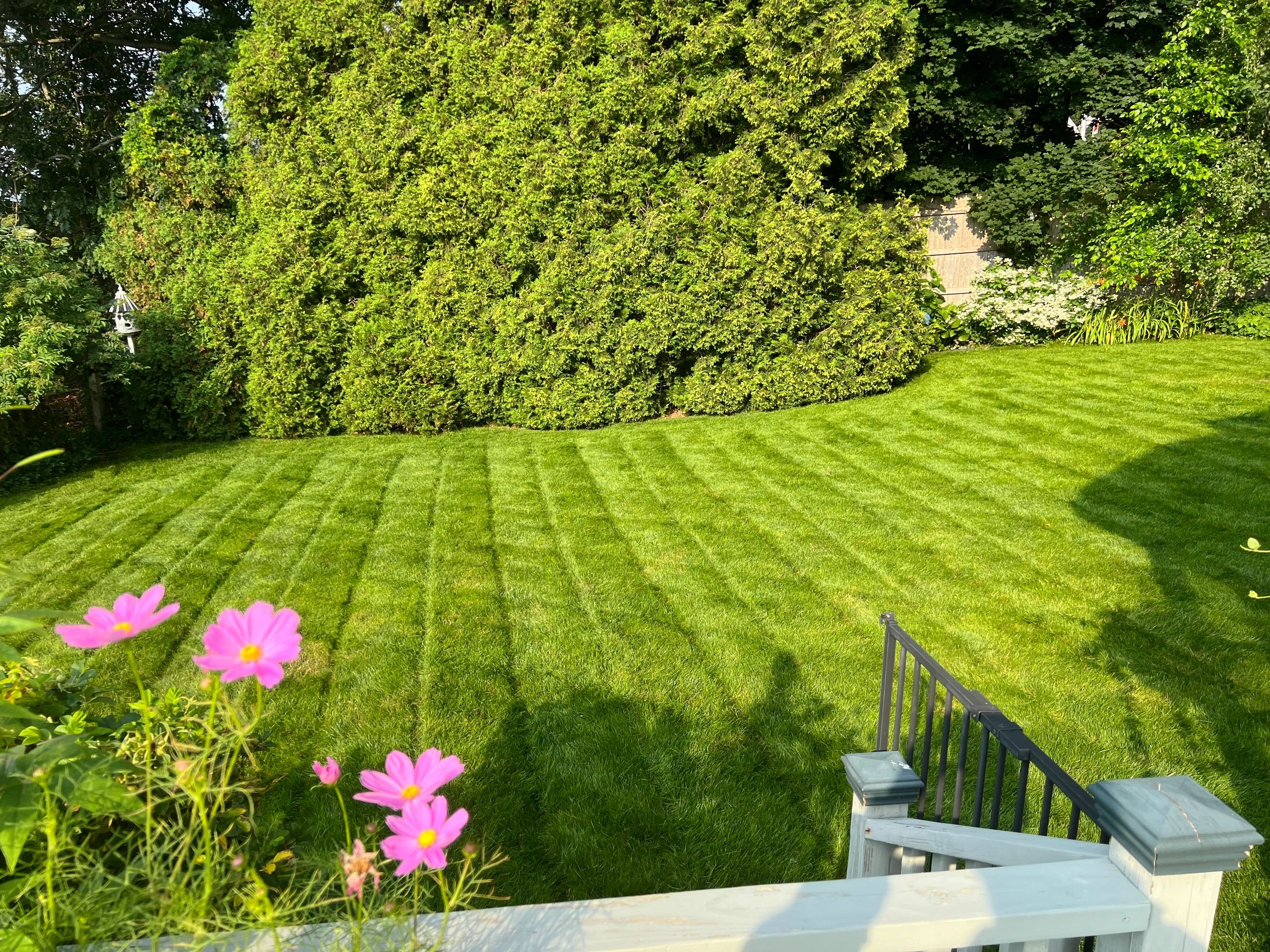 Advanced Landscape Care