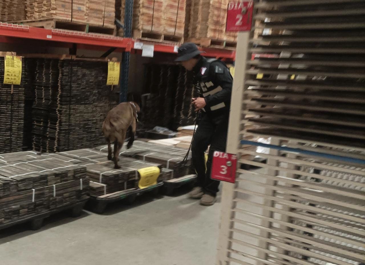 Seguridad Privada K9 en Tijuana | ALFA K9 LLC