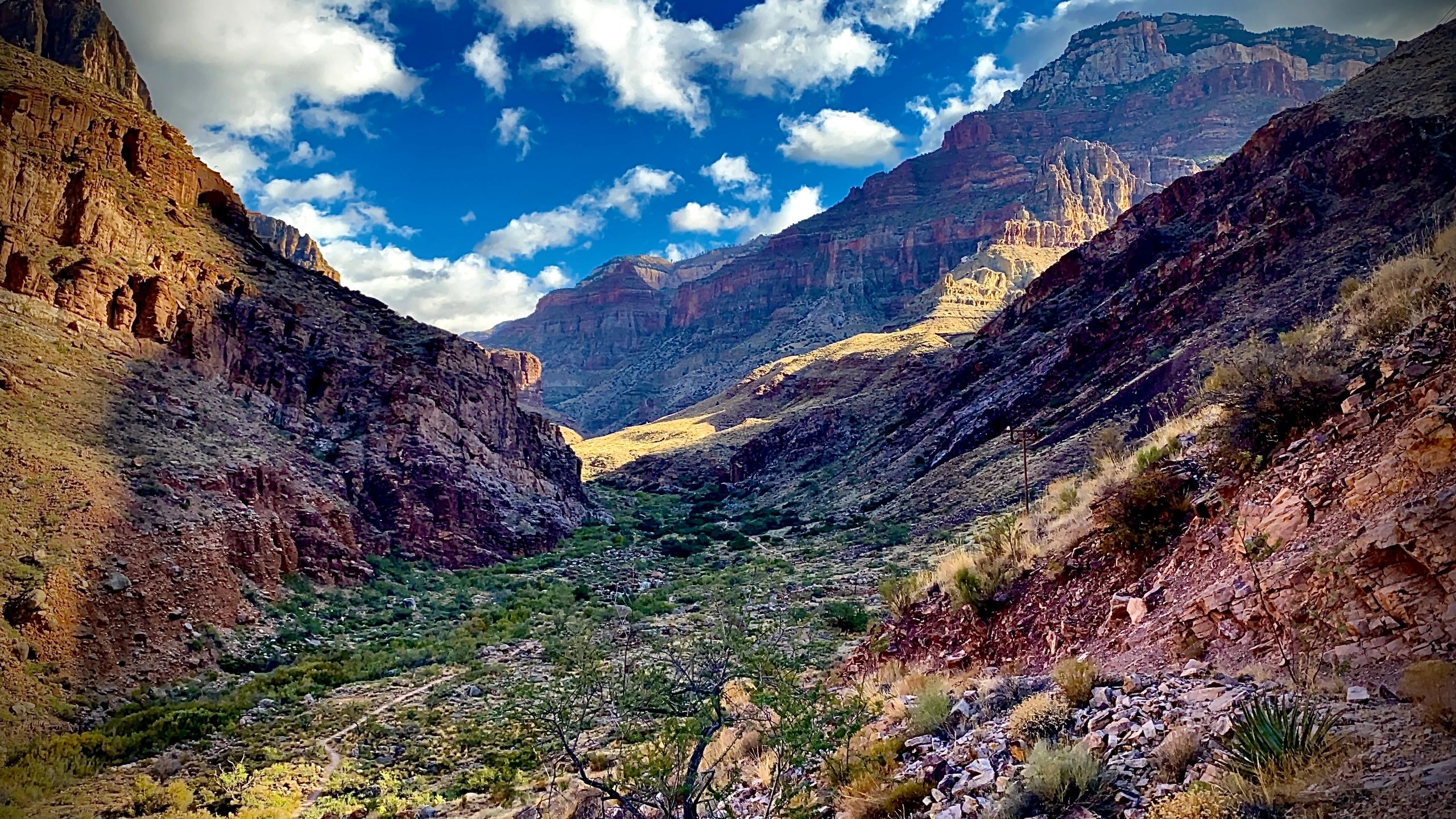 ODAAT Wellness Solutions