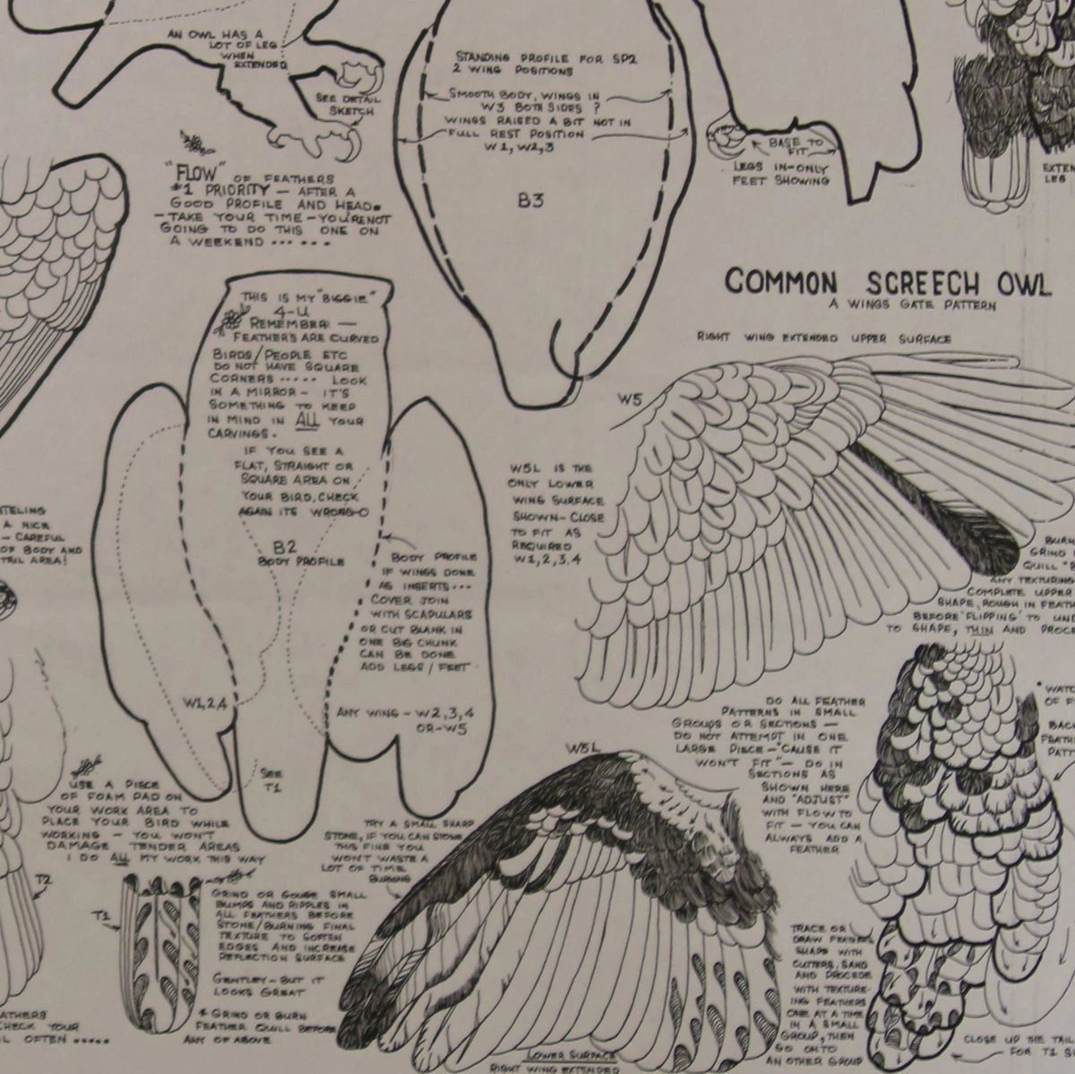 Screech Owl Life-Size Pattern 75-401