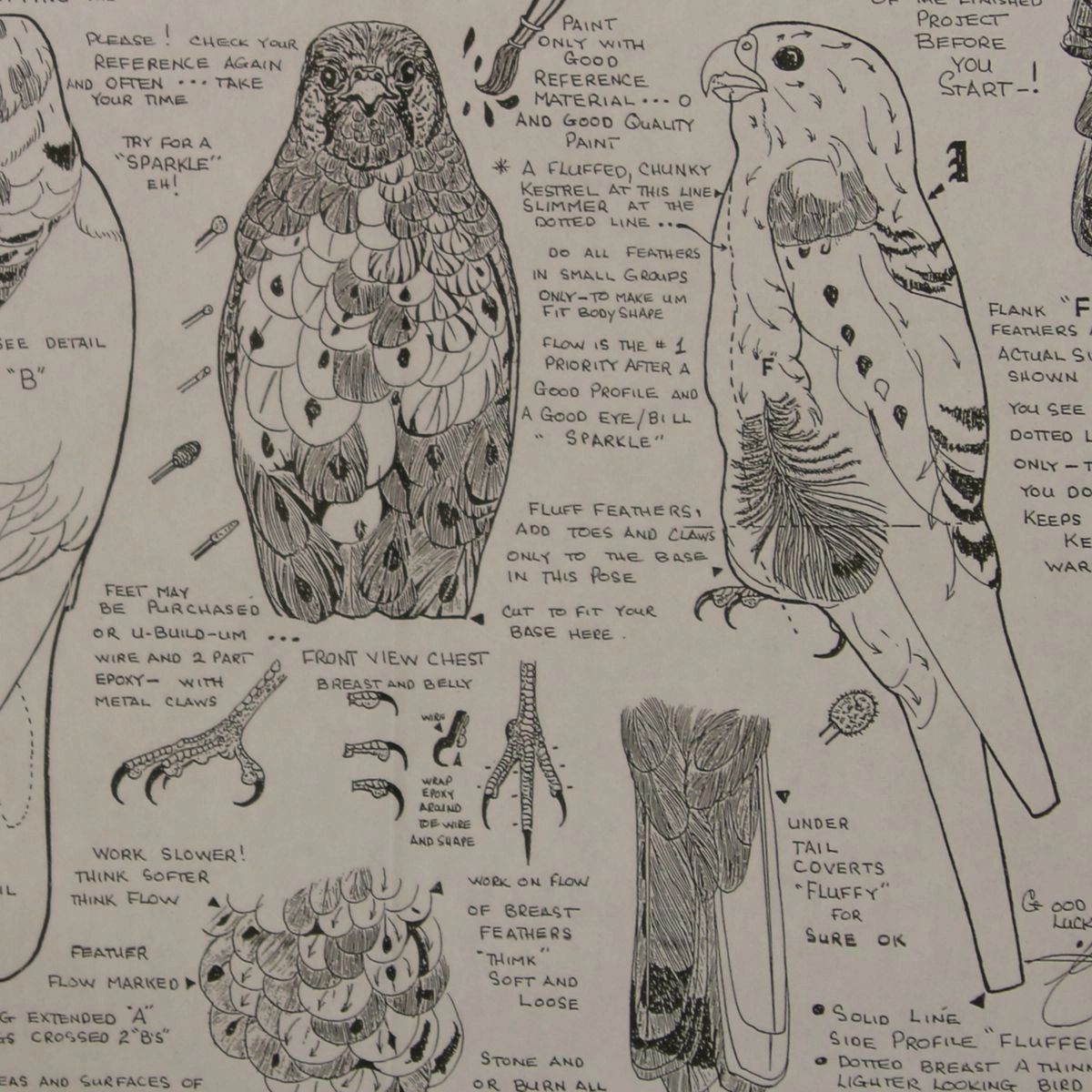 American Kestrel (Sparrow Hawk) Life-Size Pattern 75-403