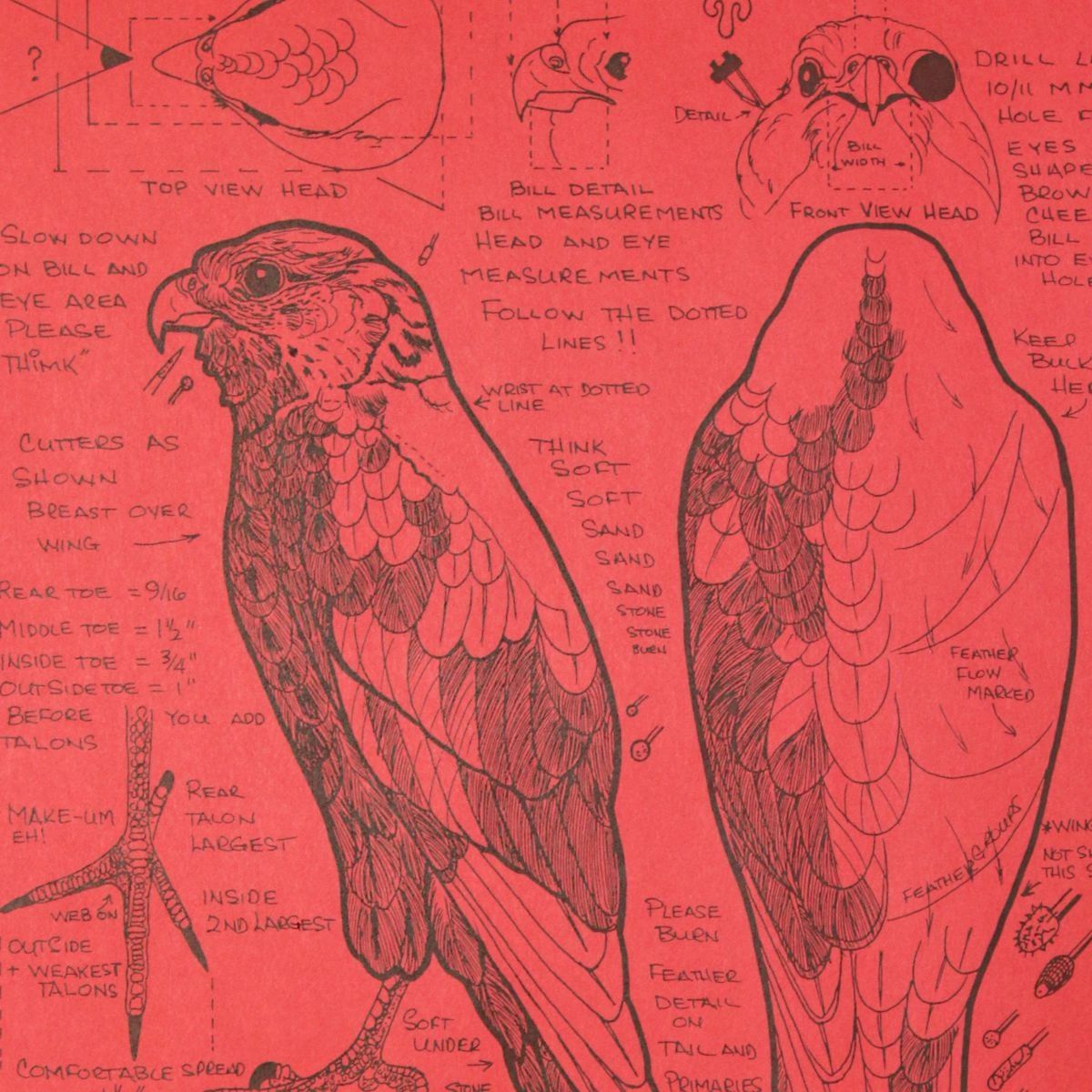 Merlin (Pigeon Hawk) Life-Size Pattern 75-409