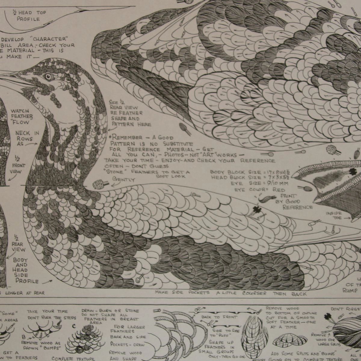 Life-size Red Throated Loon Pattern 75-620
