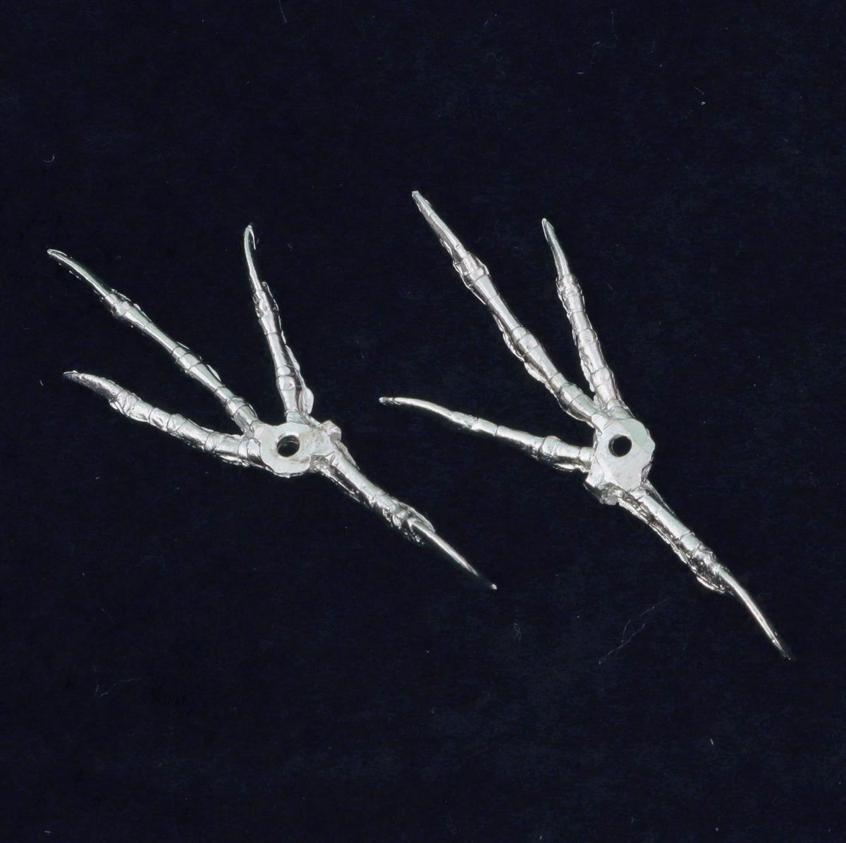 Flexible Cast Bird Toes Blue Jay