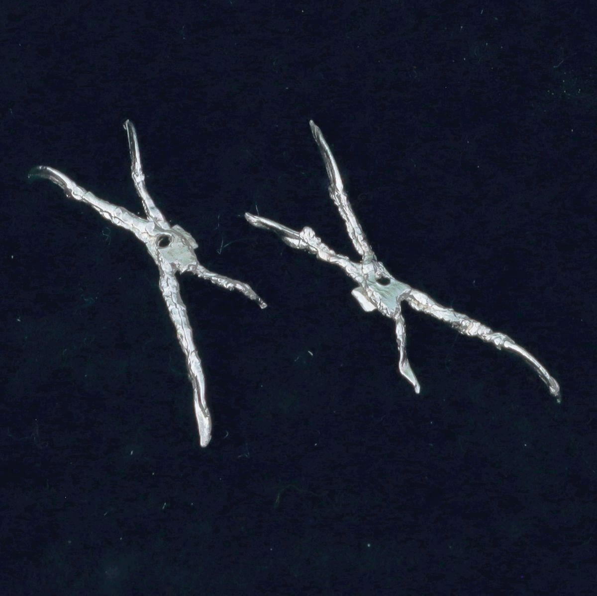 Flexible Cast Bird Toes Downy Woodpecker, Small Woodpecker