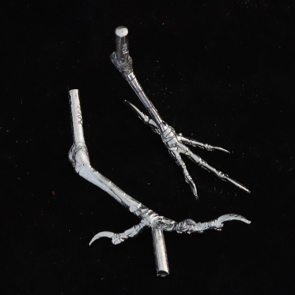 Cardinal Cast Bird Feet & Legs