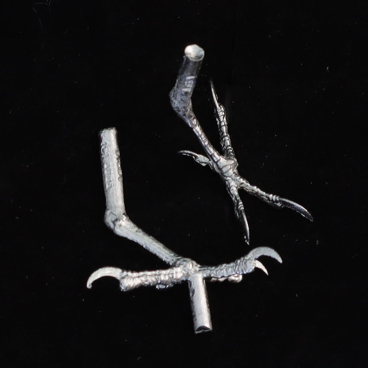 Downy Woodpecker Cast Bird Feet & Legs