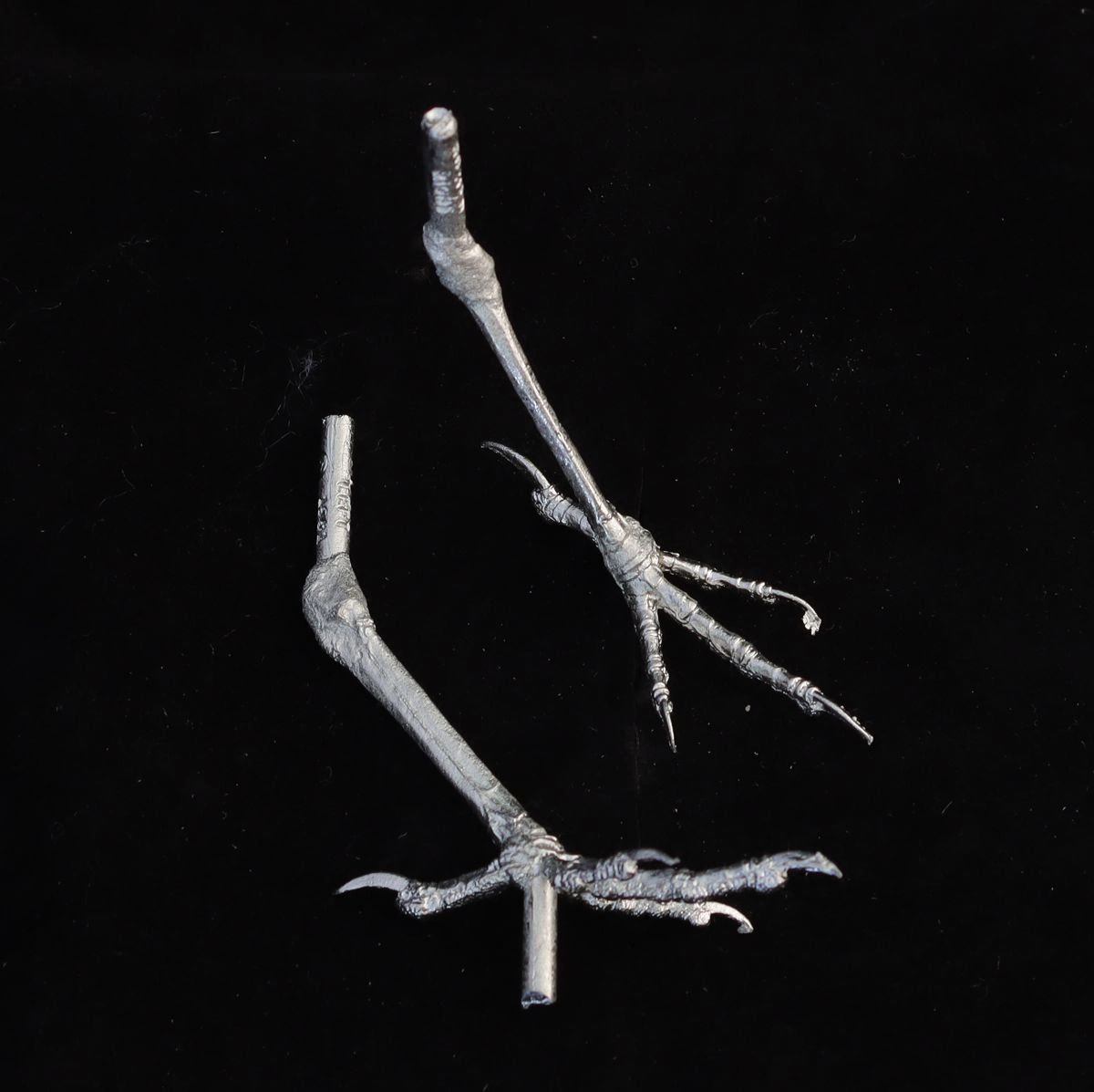 Robin Cast Bird Feet & Legs