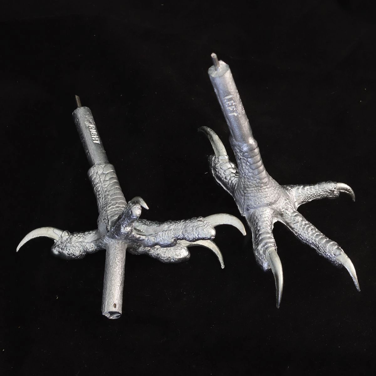 Red-Tailed Hawk Cast Bird Feet & Legs