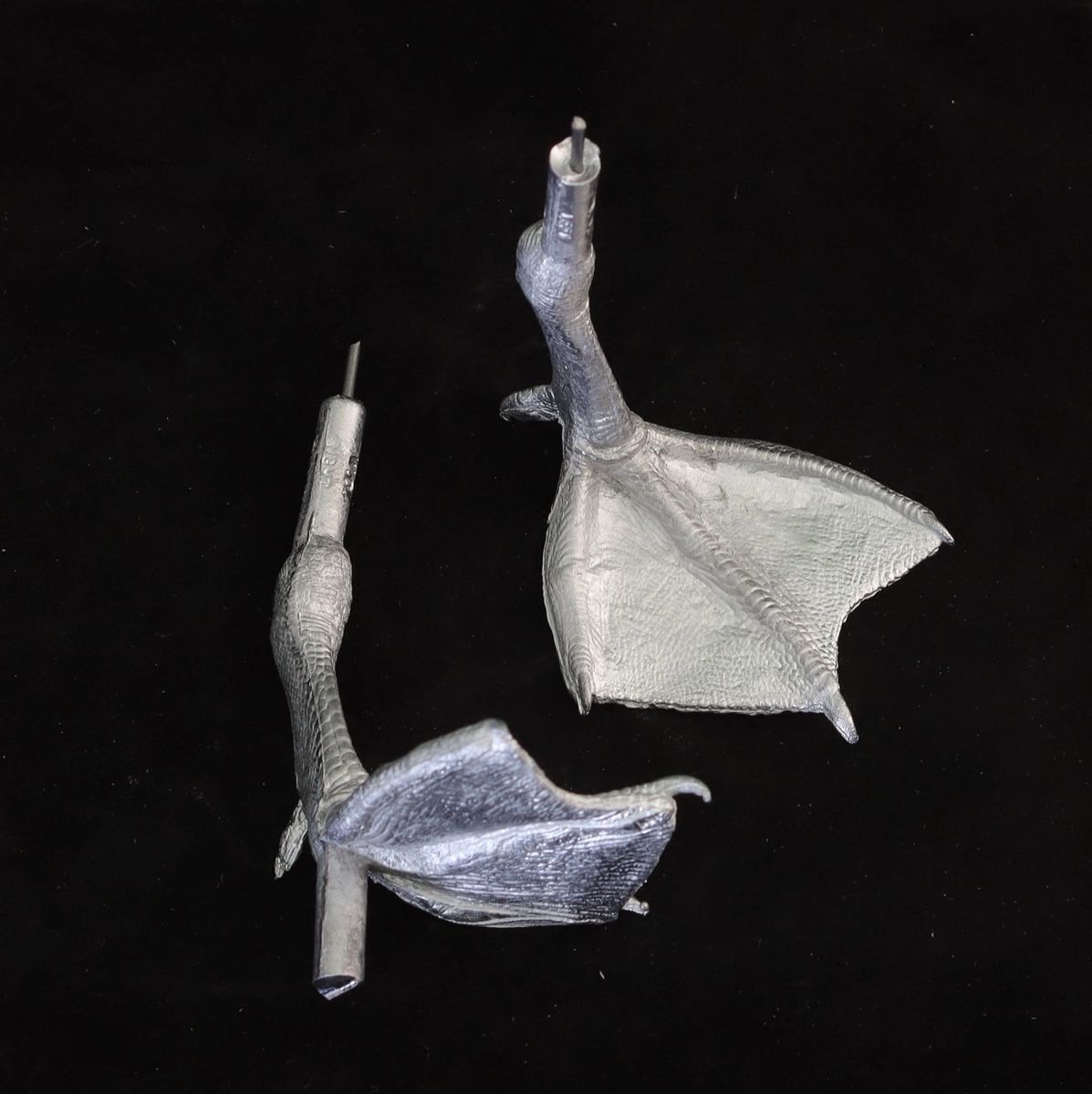 Wood Duck Cast Bird Feet & Legs