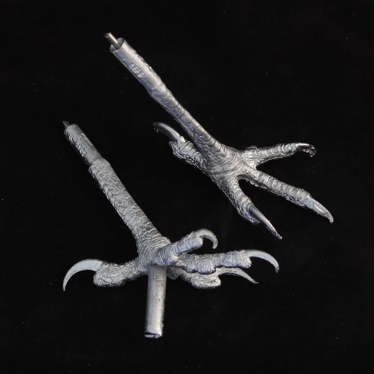 Broad Wing Hawk Cast Bird Feet & Legs