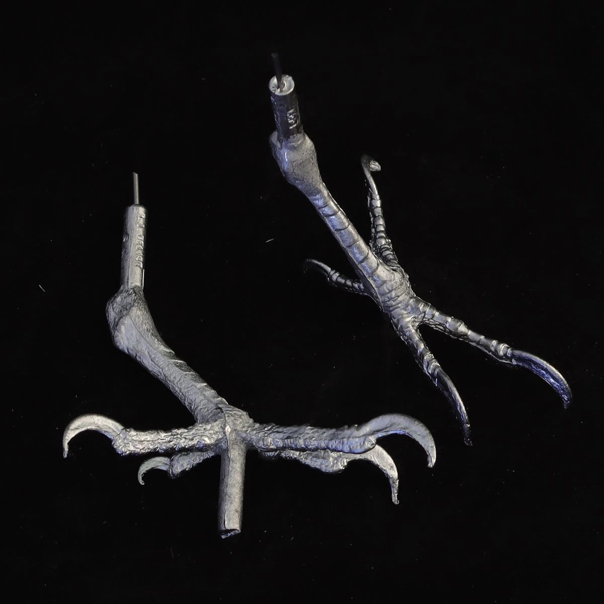 Pileated Woodpecker Cast Bird Feet & Legs